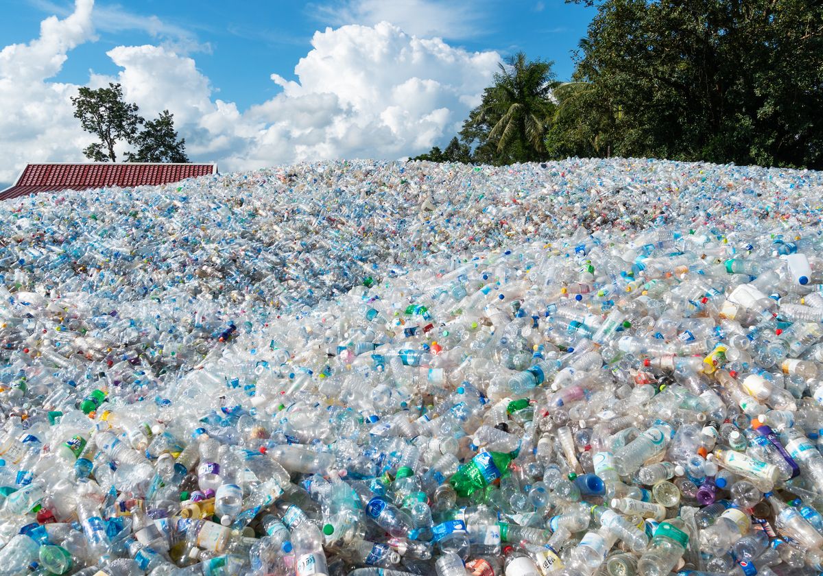 Modified bacteria convert plastic waste into pain reliever - World ...